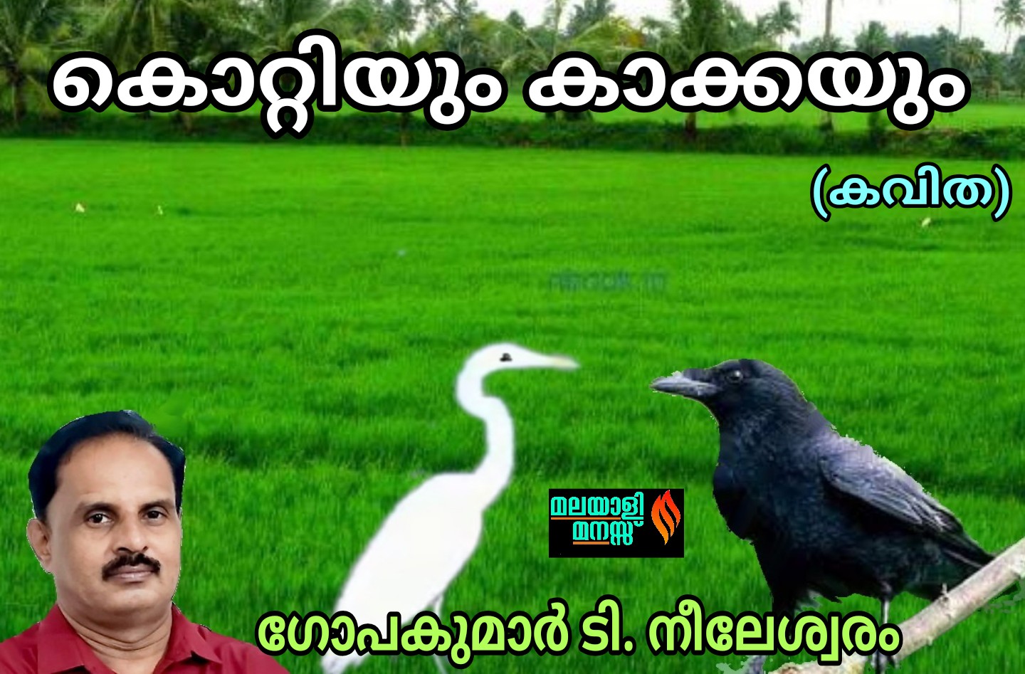 കൊറ്റിയും കാക്കയും (കവിത) ഗോപകുമാർ ടി നീലേശ്വരം | മലയാളിമനസ്സ്