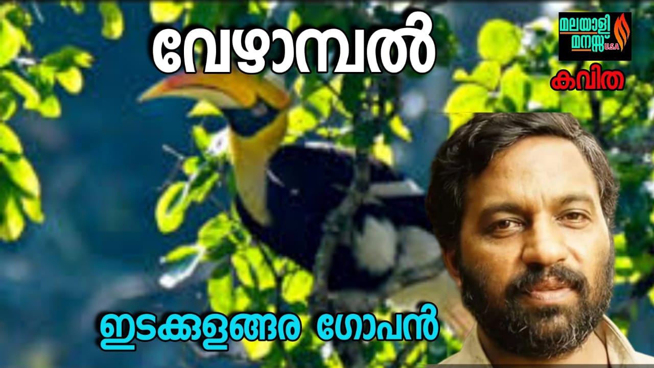 വേഴാമ്പൽ (കവിത) ഇടക്കുളങ്ങര ഗോപൻ | മലയാളിമനസ്സ്